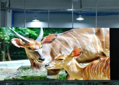 중국 P1.923 실내 풀 컬러 LED 스크린 SMD1515 잘 고정된 초 고화질 판매용