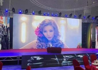 China Ultra-Clear High Brightness Advertising LED Screen Indoor Full Color Suitable For Concert Stage for sale