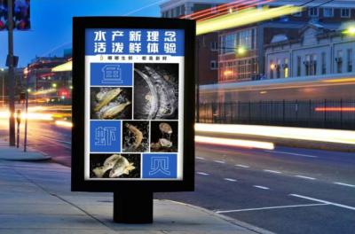Cina P10 Outdoor IP65 Hanging LED Video Parete pubblicitario 10 mm Pixels in vendita