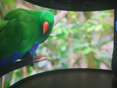 China Aluminum Cabinet P5 Fixed Led Display for Customizable Backside Service Maintenance for sale