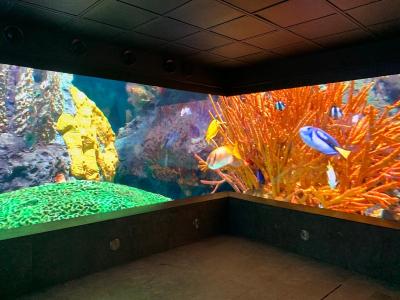 China P6.67 Fixed Led Screen Outdoor Waterproof Digtial Advertising Billboard 2x3m for sale