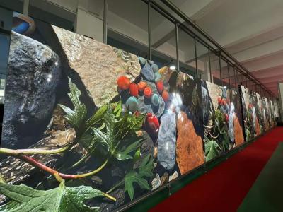 중국 야외 소매 광고 5500 밝기와 SMD2121 캡슐화 된 외부 다채로운 LED 디스플레이 판매용