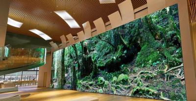 중국 높은 밝기 P3.91 실내 전색 LED 디스플레이 3년 보증 판매용