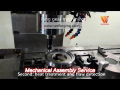 Electric Strand Aotomative Product Assembly ODM Gear Forge OEM Planet Group Reducer Customized Ring Gears