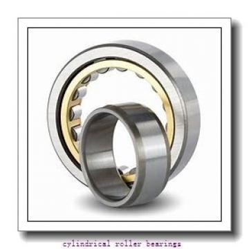 China ISB NU 220 cylindrical roller bearings for sale