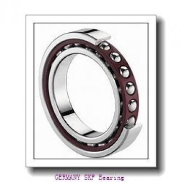 China NTN P204 JAPAN NTN Bearing for sale