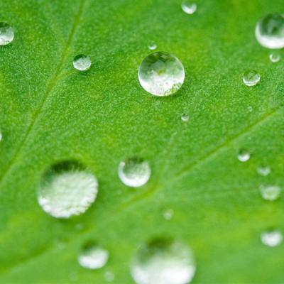China Guangzhou textile auxiliary chemical fabric surface treatment water repellent agent for sale
