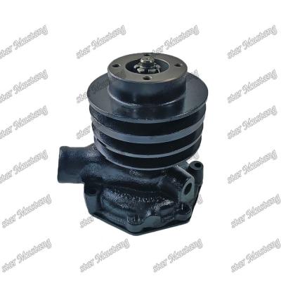 Cina Pompa idrica a struttura integrata 6DB10 30045-60067 in vendita