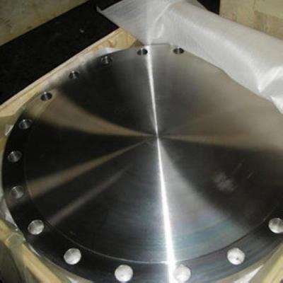China duplex stainless 1.4547 flange for sale