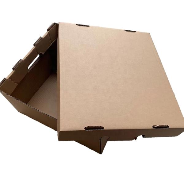 Quality Wax Coated Corrugated Packaging Recyclable Cardboard Strong Moving Corrugated Shipping Boxes Carton for Vegetable Frozen Meat for sale