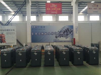 Cina il compressore d'aria della vite della trasmissione a cinghia 7.5HP-10hp 60HZ facile per mantiene in vendita