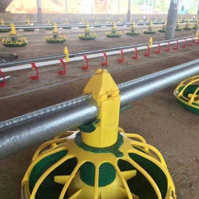 China Het Drinken van de Grillpan feeding system chicken water van de gevogelte Autoavegaar Systeem Te koop