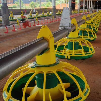 Cina Sistema bevente di Pan Feeding System Chicken Water della griglia automatica della coclea del pollame in vendita