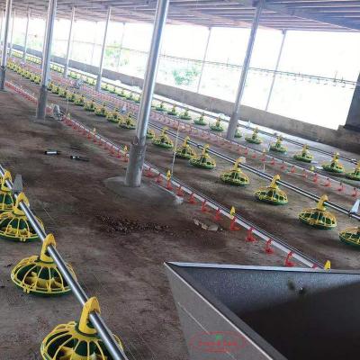China Chicken Drinking Automatic Pan Feeding System For Poultry Farming Equipment for sale
