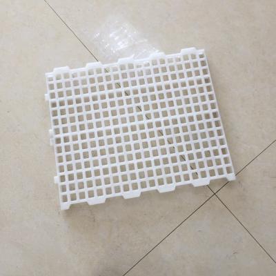 Cina Attrezzatura Mesh Floor Poultry Slat Flooring di plastica del pollo in vendita