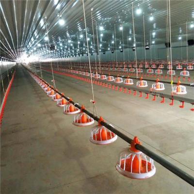 Cina alimentatore del pollo del bevitore del capezzolo dell'acqua in vendita