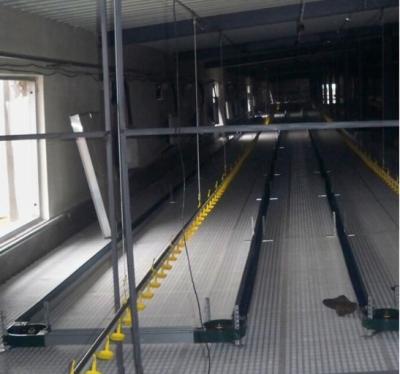 Cina Attrezzatura crescente dell'alimentatore del pollo a catena del sistema in vendita
