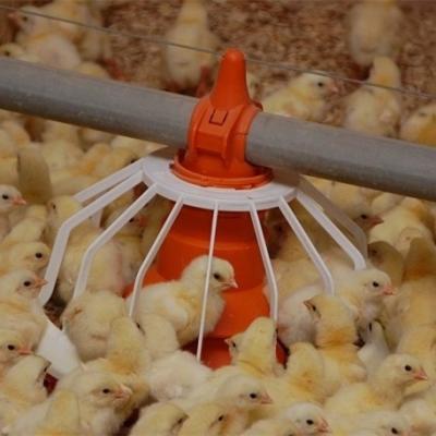China Portable Galvanized 450kg Chain Feeder System Poultry for sale