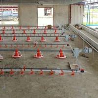 China Electrical Environmentally Controlled Poultry House for sale