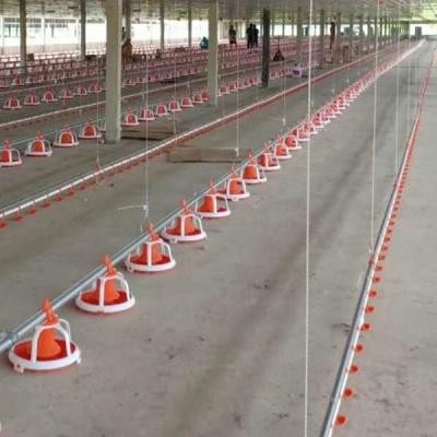China Open House Shed 2.2cm Chicken Nipple Drinker System for sale