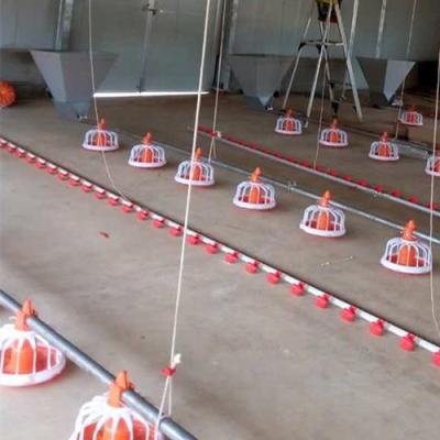 Cina 12 sistema automatico completo del bevitore del capezzolo del pollo degli uccelli pp in vendita