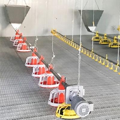 China 12 Birds 60HZ Poultry Farm Feeding System for sale