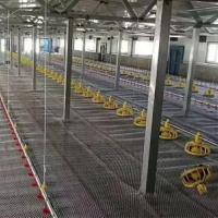 China Linear Feeder Poultry Automatic Pan Feeding System for sale