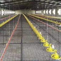China Linear Feeder Poultry Automatic Pan Feeding System for sale