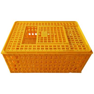 China Poultry Broiler Quail Pigeon Plastic Chicken Transport Cages for sale