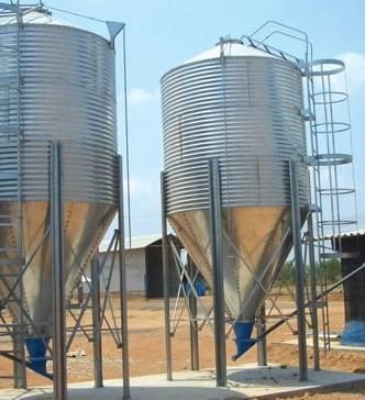 Cina Attrezzatura automatica di Pan Feeding System Poultry Farm in vendita
