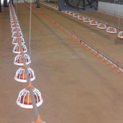 Cina Attrezzatura automatica di Pan Feeder Steel Broiler Poultry in vendita
