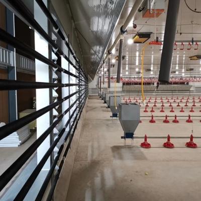 Cina Pollame d'alimentazione del sistema della catena automatica dell'alimentatore della griglia in vendita