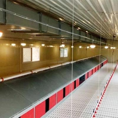 Cina Una catena Pan Feeding System automatico da 90 gradi in vendita