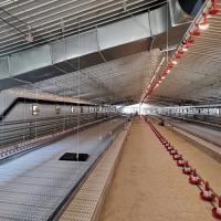 China 90 Degree Chain Automatic Pan Feeding System for sale