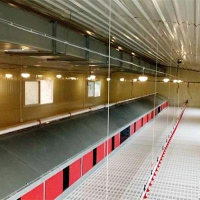 Cina Il selezionatore dell'azienda agricola alloggia l'attrezzatura maschio del pollo da carne in vendita