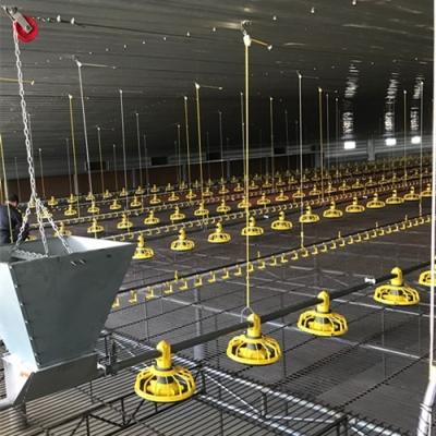 Cina Il selezionatore dell'azienda agricola alloggia l'attrezzatura maschio del pollo da carne in vendita
