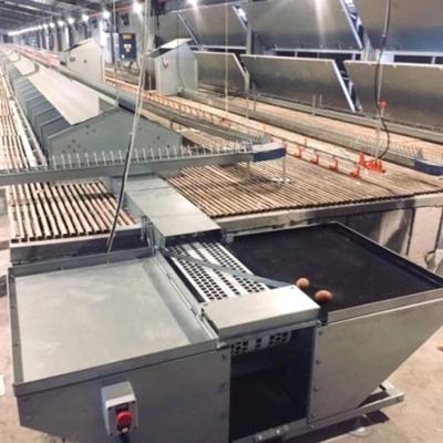 Cina 24 PVC dei fori convogliano gli alimentatori ed i sistemi a acqua del pollo in vendita