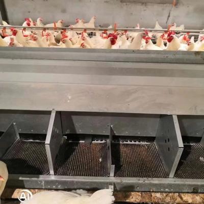 Cina 24 PVC dei fori convogliano gli alimentatori ed i sistemi a acqua del pollo in vendita