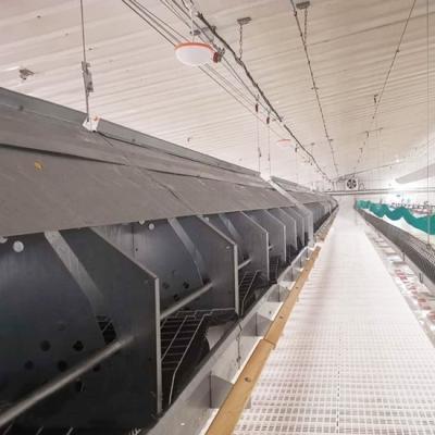 Cina Attrezzatura crescente del pollo automatico dell'alimentatore della griglia in vendita