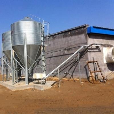 Cina Attrezzatura crescente d'alimentazione a catena del pollo del sistema in vendita