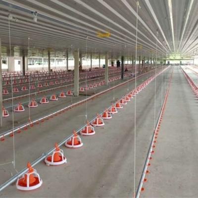 Cina attrezzatura di avicoltura 400kg/H per i prodotti dei polli da arrosto in vendita