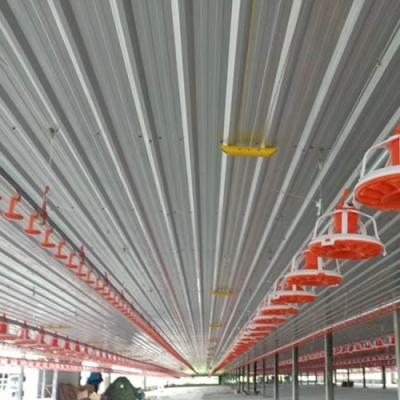 Cina Attrezzatura automatica della Camera di pollo 380V dell'azienda avicola in vendita