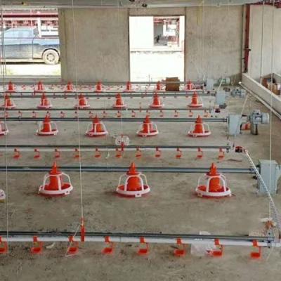 Cina Attrezzatura automatica della Camera di pollo 380V dell'azienda avicola in vendita