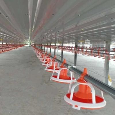 China Duck Layer Hens Chicken Shed Broiler Poultry Equipment for sale