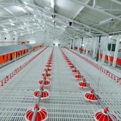 Cina Pavimentazione durevole della stecca del pollame dell'anatroccolo del pollo in vendita