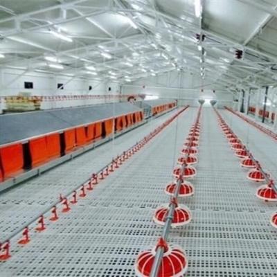 Cina Pavimentazione a stecche di plastica dell'azienda agricola della capra del pollo 20X26mm in vendita