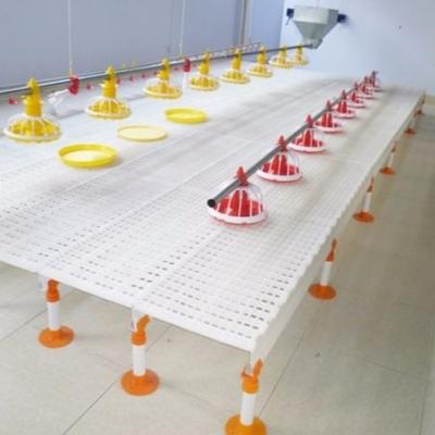 Cina Pavimentazione a stecche di plastica dell'azienda agricola di pollo per le pecore in vendita
