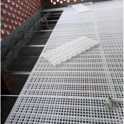 Cina Pollame di Mesh Plastic Slatted Floor For della tettoia grattare in vendita