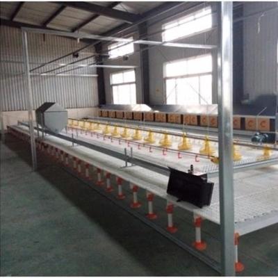 Cina Pavimentazione UV della stecca del pollame di Duck Broiler 100% pp in vendita