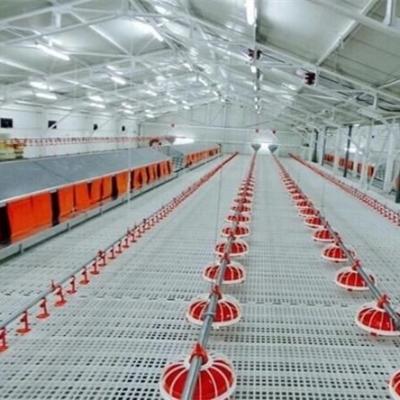 Cina Pavimentazione UV della stecca del pollame di Duck Broiler 100% pp in vendita